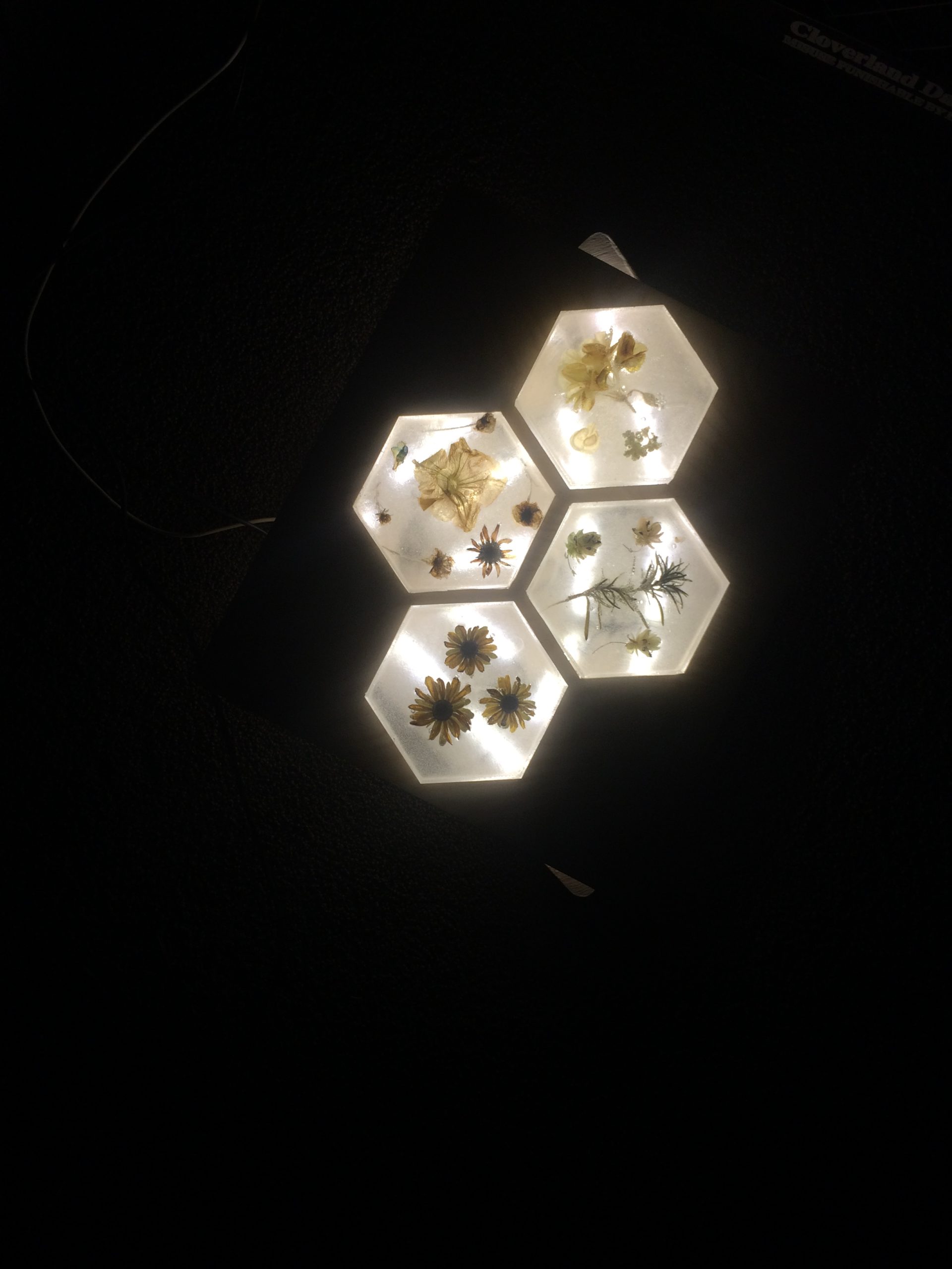 illuminated flower box | wilson makes