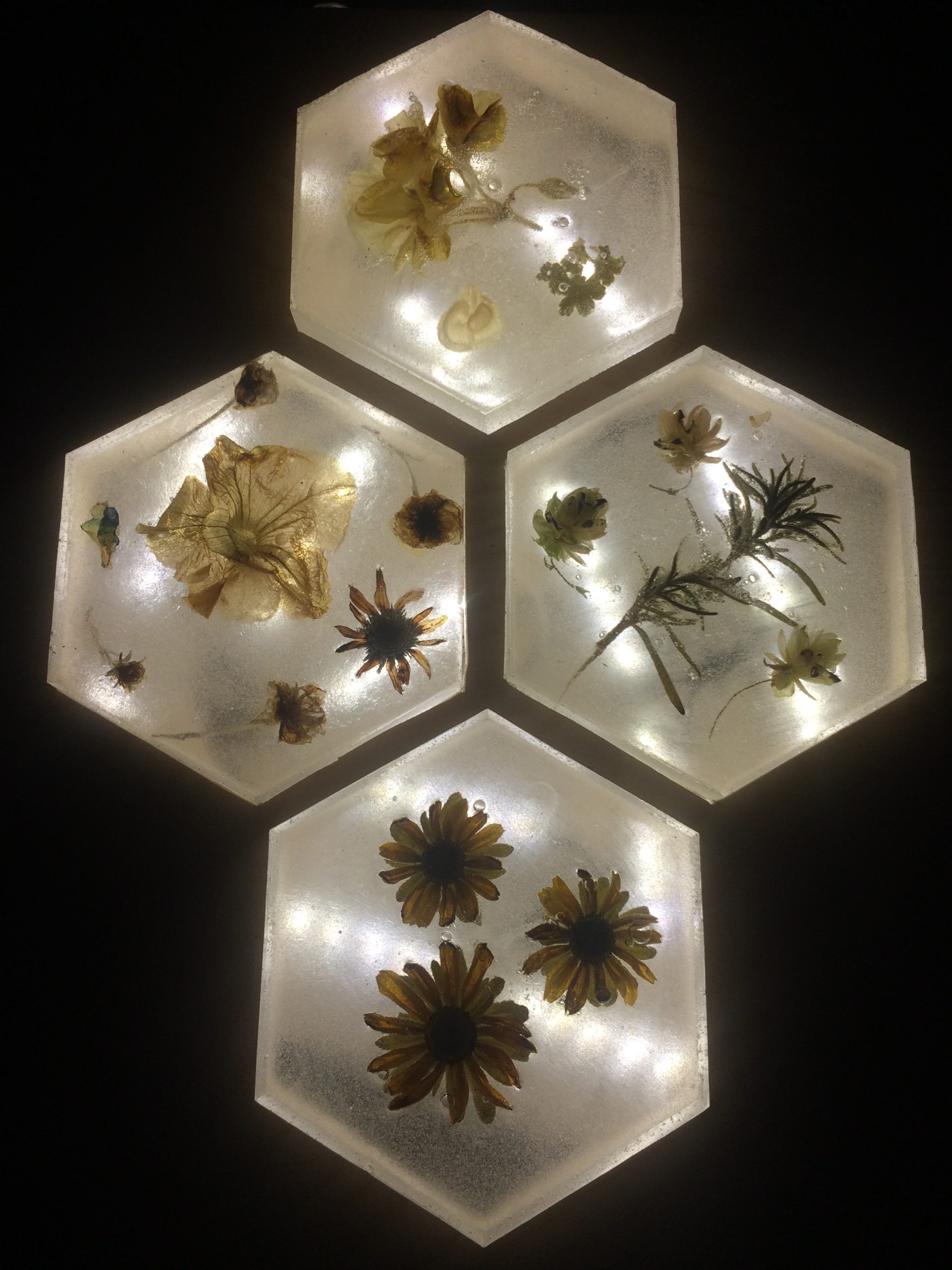 illuminated flower box | wilson makes